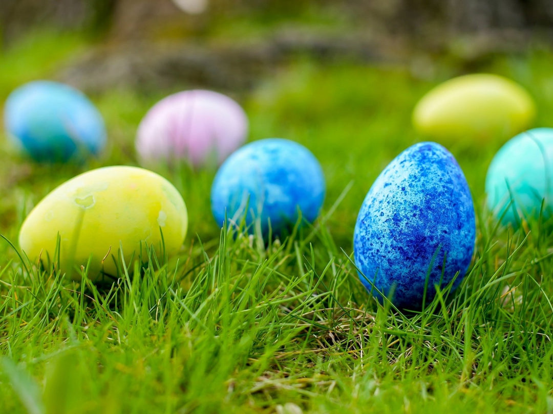 Fun Easter Days Out in Scotland this year – Made Scotland